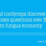 Lowland cordyceps discovery in India raises questions over Bhutan’s ...
