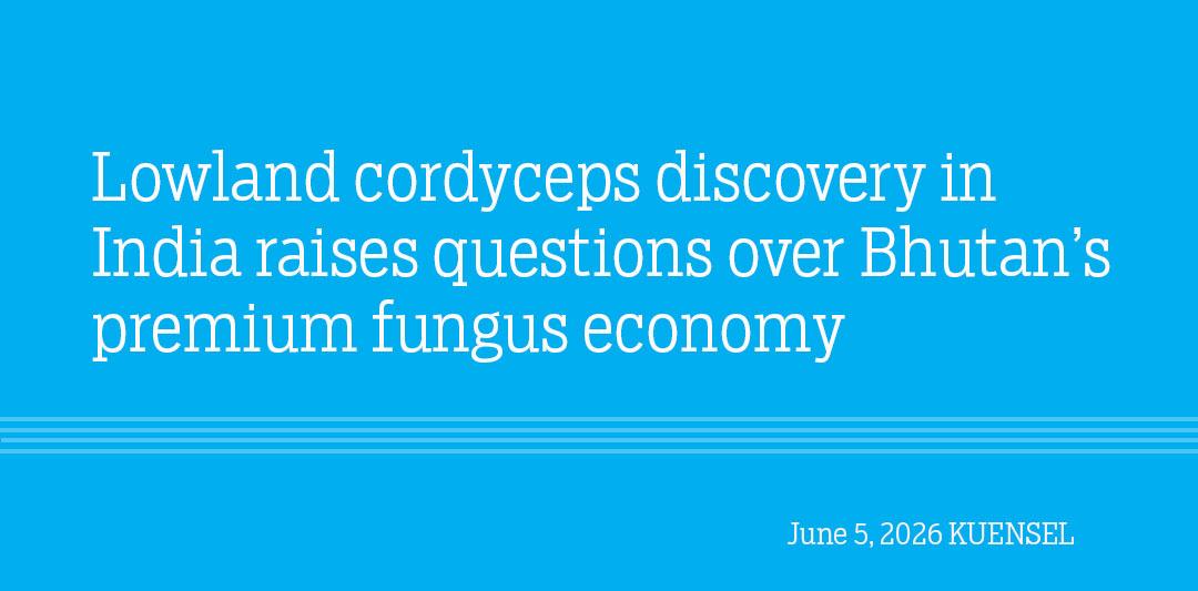 Lowland cordyceps discovery in India raises questions over Bhutan’s ...