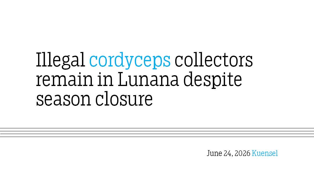 Illegal cordyceps collectors remain in Lunana despite season closure
